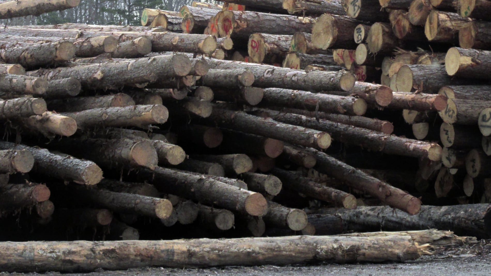 Shaver Wood Products | Lumber Yard & Saw Mill in Iredell County, NC